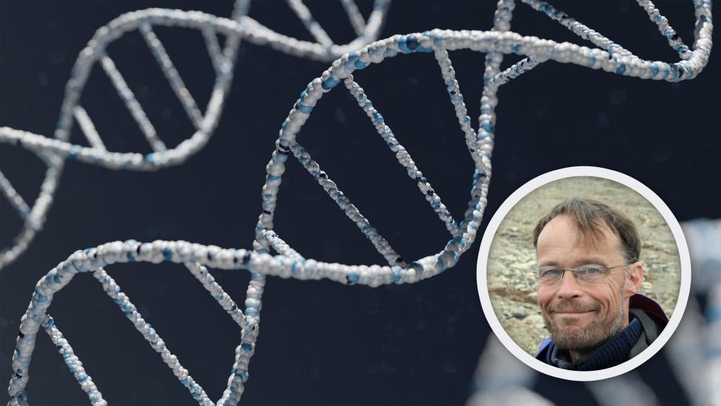 DNA-forskning ger ny bild av Ölands historia - Kalmar läns museum